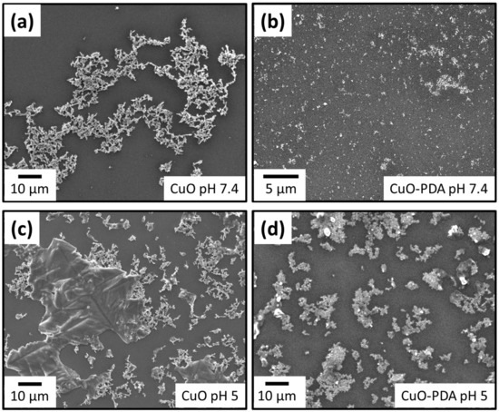 Investigation of the Characteristics and Antibacterial Activity of ...