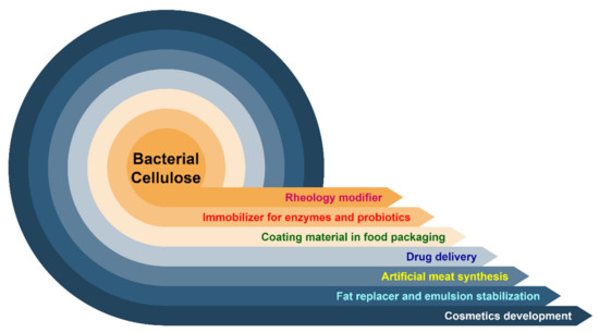 Bacterial Cellulose: Production, Characterization, and Application as ...