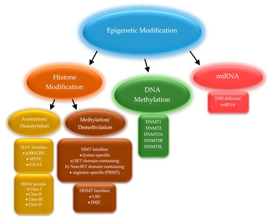 Physical Activity and DNA Methylation in Humans