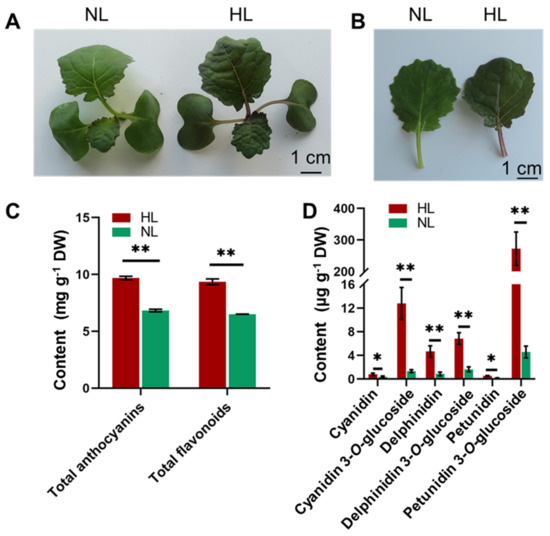 IJMS | Free Full-Text | Transcriptome Analysis Reveals Roles of ...
