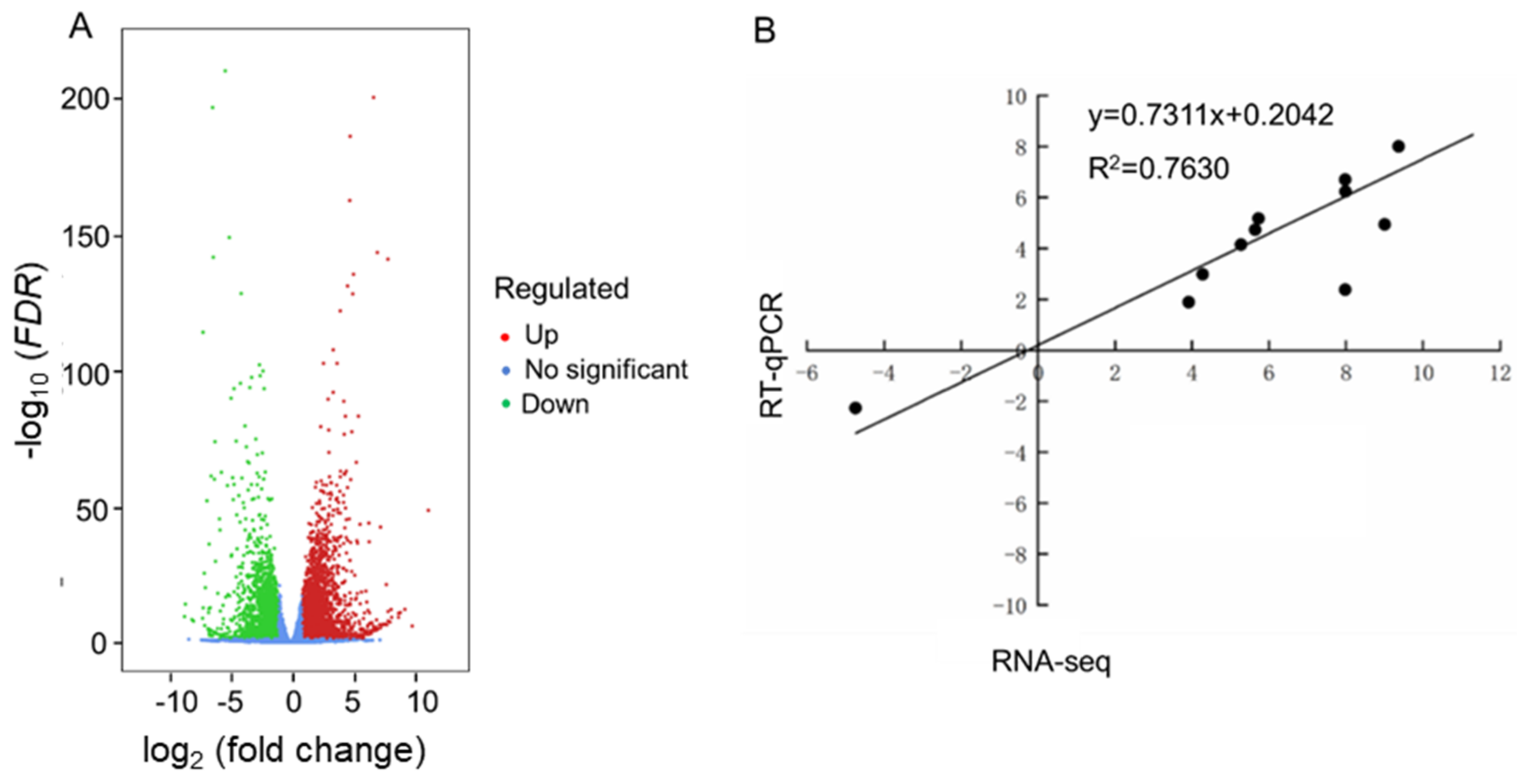 IJMS | Free Full-Text | Transcriptome Analysis Reveals Roles of ...