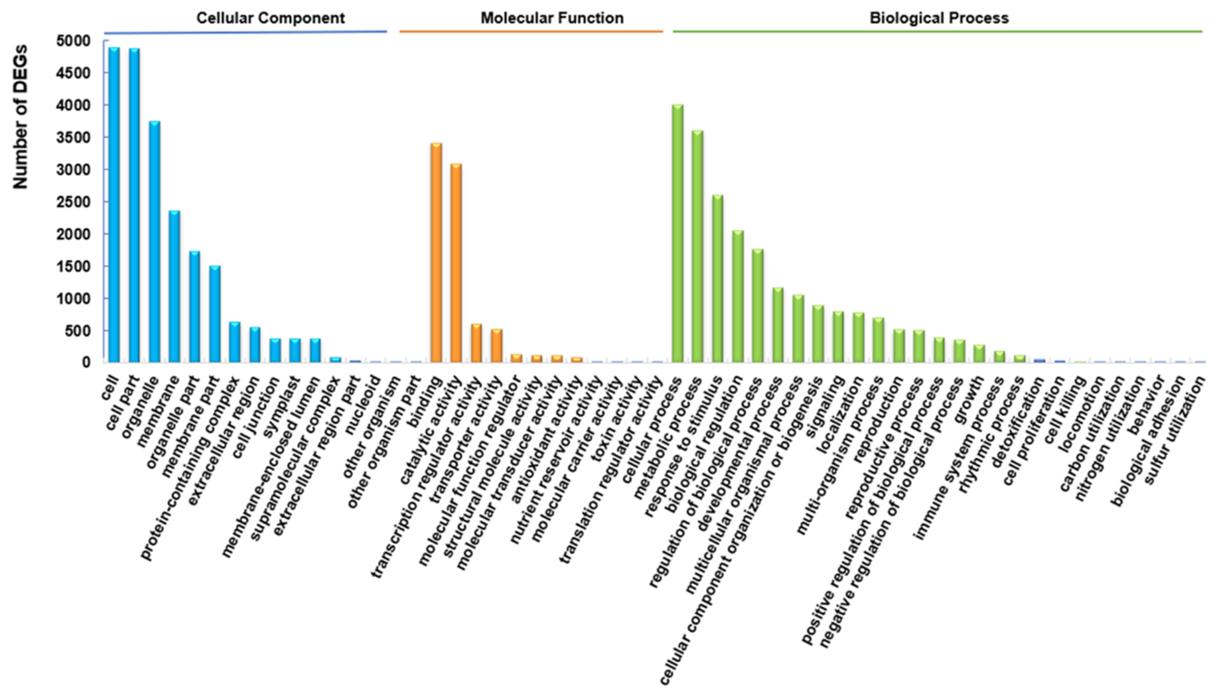 IJMS | Free Full-Text | Transcriptome Analysis Reveals Roles of ...