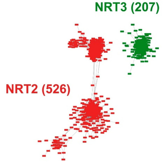 Phylogenomic and Microsynteny Analysis Provides Evidence of Genome ...