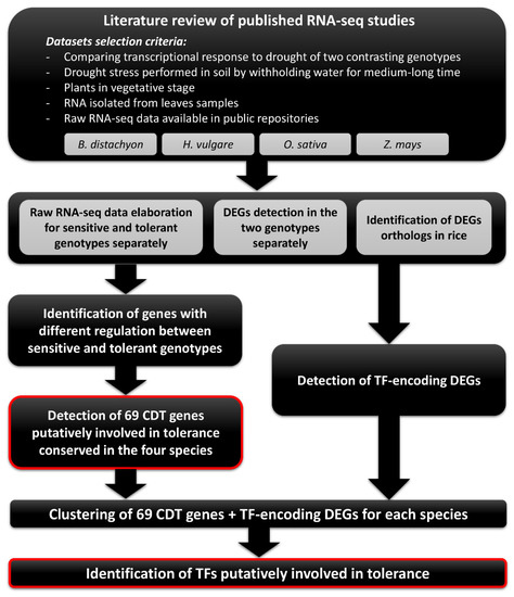 A Comparative Transcriptomic Meta-Analysis Revealed Conserved Key Genes ...