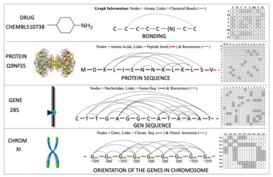 IFPTML Mapping of Drug Graphs with Protein and Chromosome Structural ...