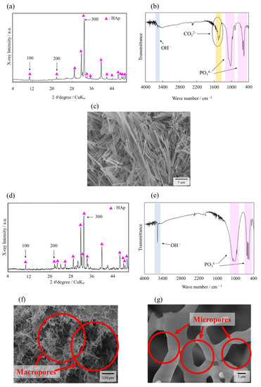 Influence of Culture Period on Osteoblast Differentiation of Tissue ...