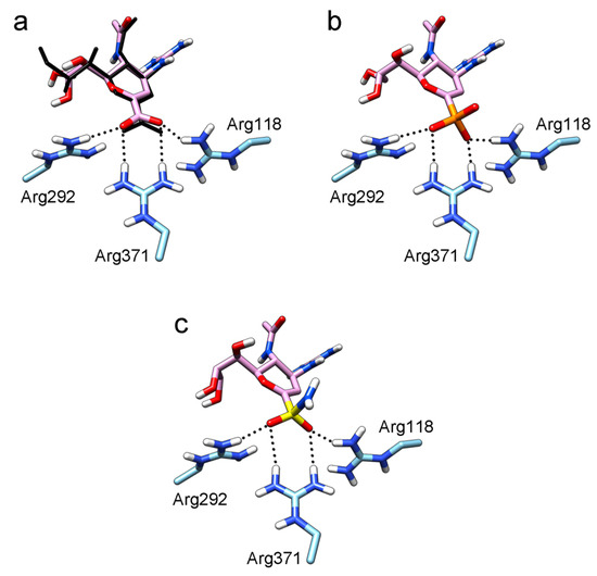 Bifunctional Inhibitors of Influenza Virus Neuraminidase: Molecular ...