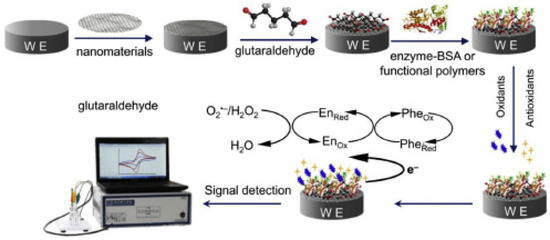 A Review on Electrochemical Sensors and Biosensors Used in Chlorogenic ...
