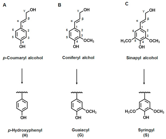 Ijms Free Full Text Oxidation Of Various Kraft Lignins With A