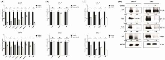 Novel Strategy of Proxalutamide for the Treatment of Prostate Cancer ...