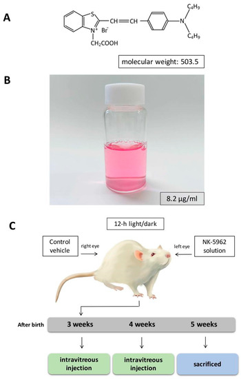 Effect of NK-5962 on Gene Expression Profiling of Retina in a Rat Model ...