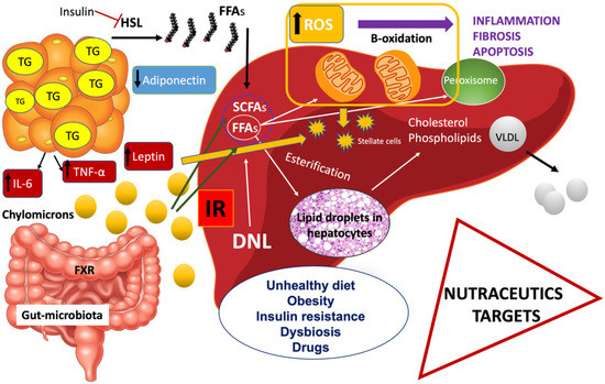 It Is High Time Physicians Thought of Natural Products for Alleviating ...