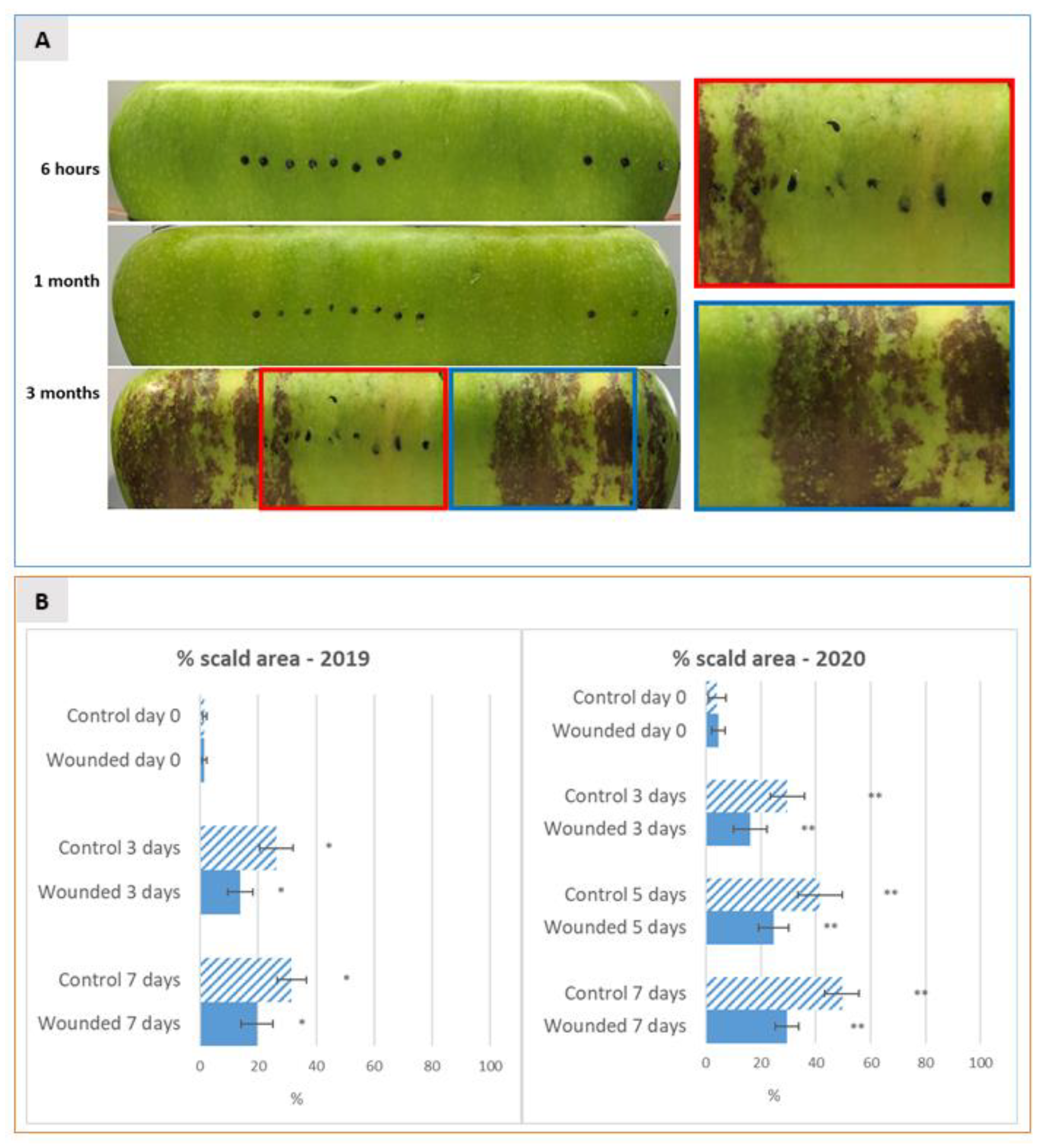 Transcriptomic Insights on the Preventive Action of Apple (cv Granny ...