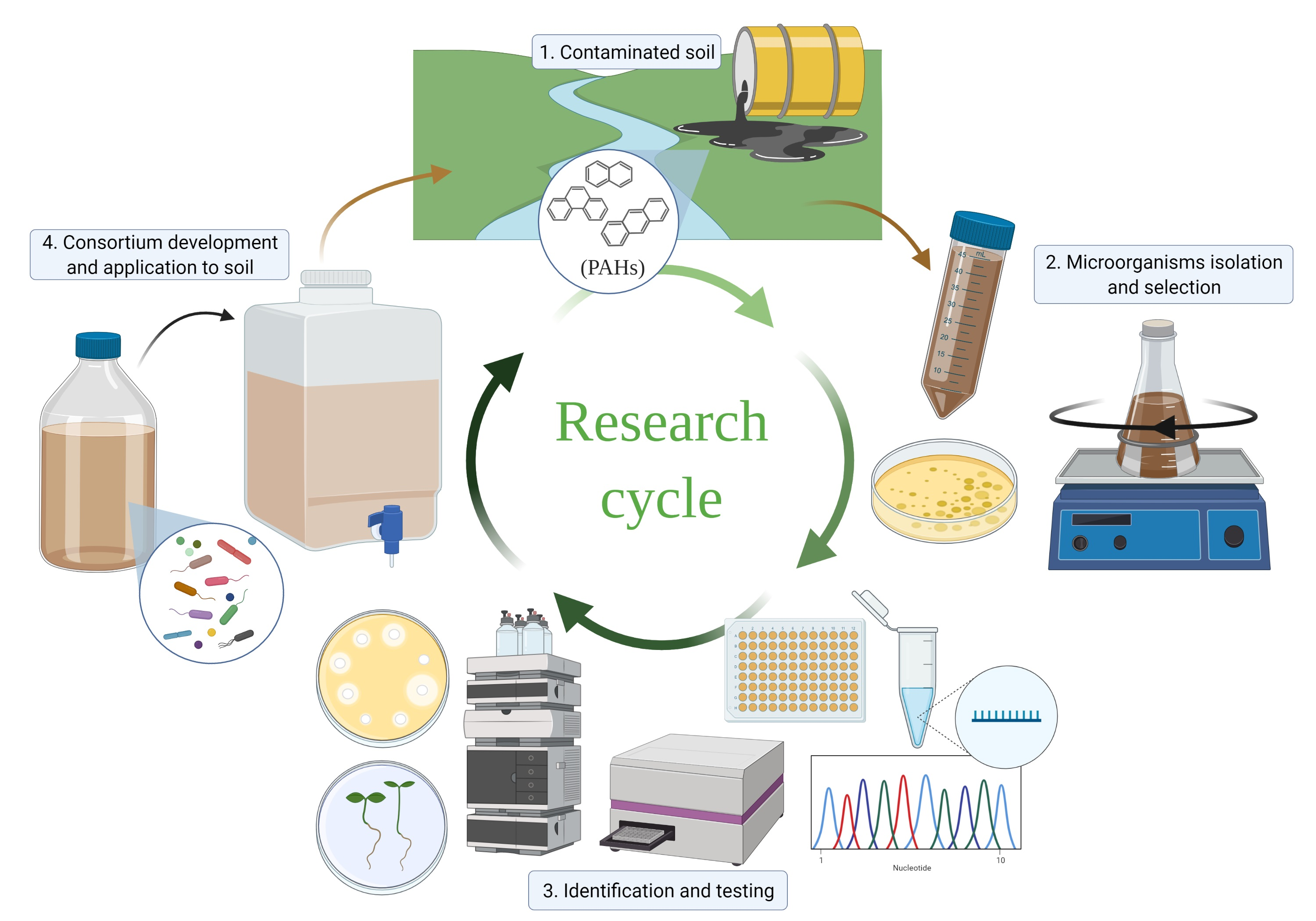 IJMS | Free Full-Text | Development of an Autochthonous Microbial ...