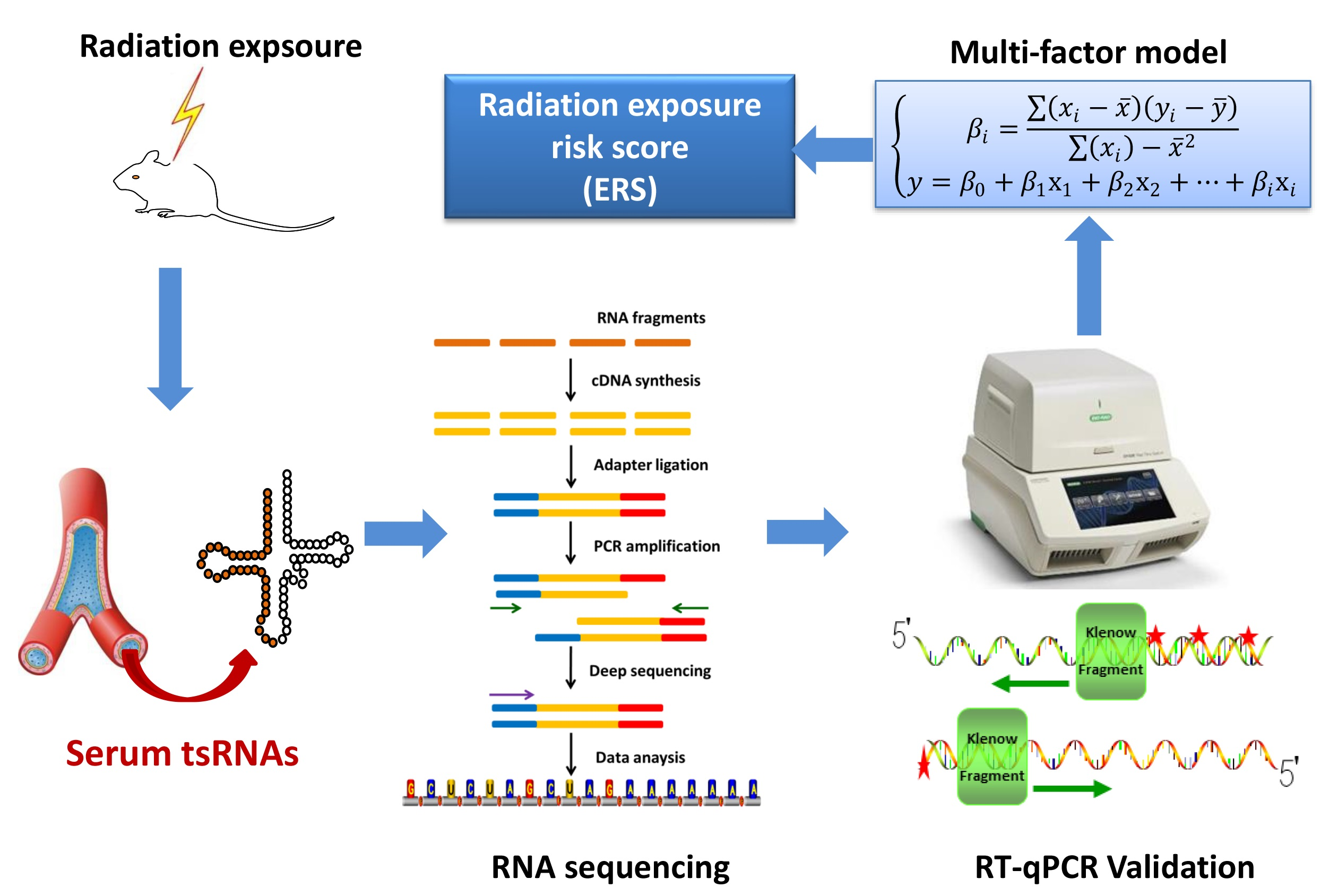 IJMS | Free Full-Text | Circulating tRNA-Derived Small RNAs as Novel ...