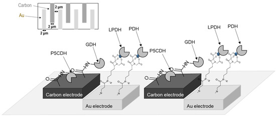 Highly Efficient Multi-Step Oxidation Bioanode Using Microfluidic Channels