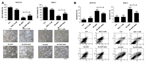 Radiosensitizer Effect of β-Apopicropodophyllin against Colorectal Cancer via Induction of ...