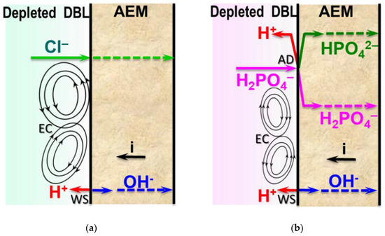 Influence of Electroconvection on Chronopotentiograms of an Anion ...