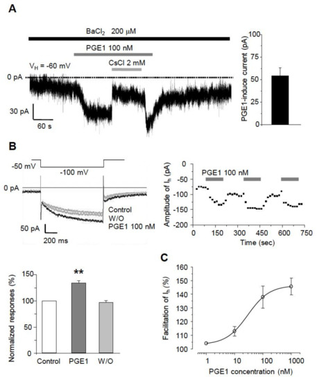 The Role of Prostaglandin E1 as a Pain Mediator through Facilitation of ...