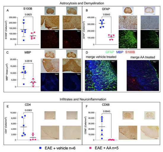 S100B Protein as a Therapeutic Target in Multiple Sclerosis: The S100B ...