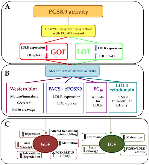 A Systematic Approach to Assess the Activity and Classification of ...