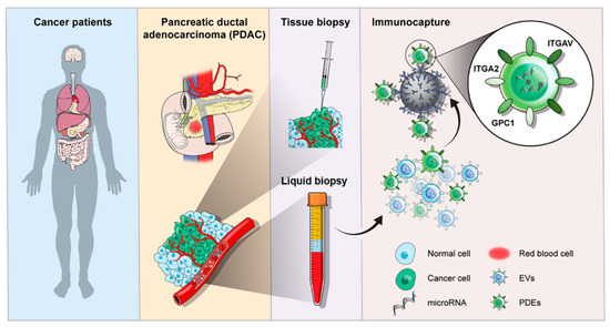 IJMS | Free Full-Text | Tumor-Specific miRNA Signatures in Combination ...