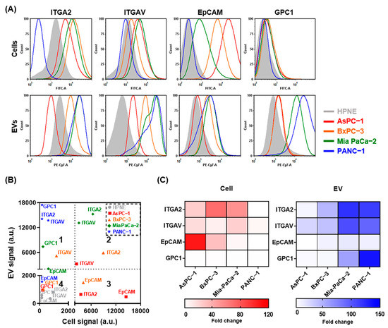 IJMS | Free Full-Text | Tumor-Specific miRNA Signatures in Combination ...