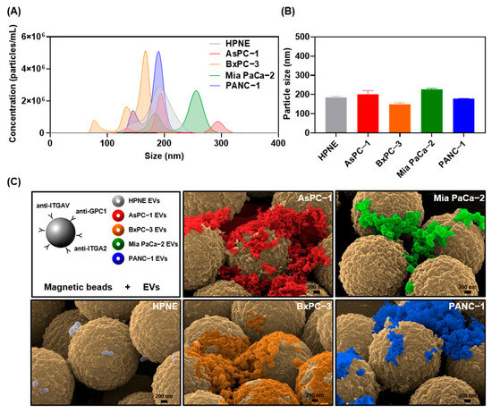 IJMS | Free Full-Text | Tumor-Specific miRNA Signatures in Combination ...