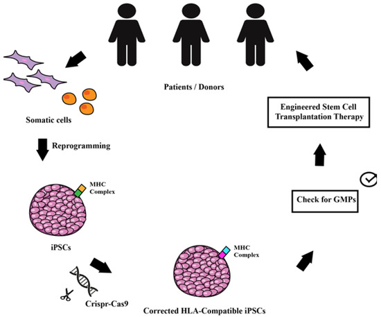 Induced Pluripotent Stem Cells (iPSCs) and Gene Therapy: A New Era for ...