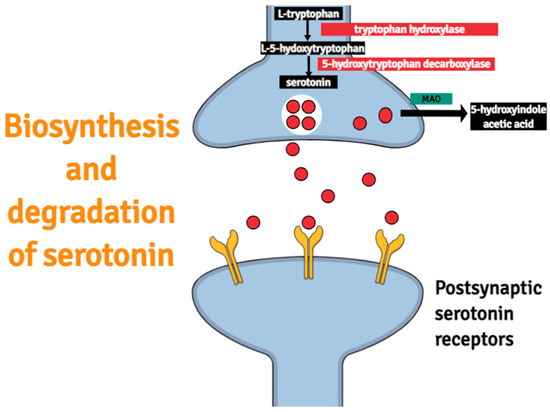 Overcoming Depression with 5-HT2A Receptor Ligands