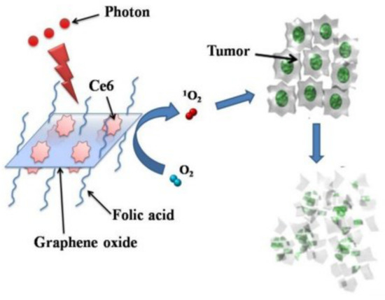 Carbon-Based Materials in Photodynamic and Photothermal Therapies ...