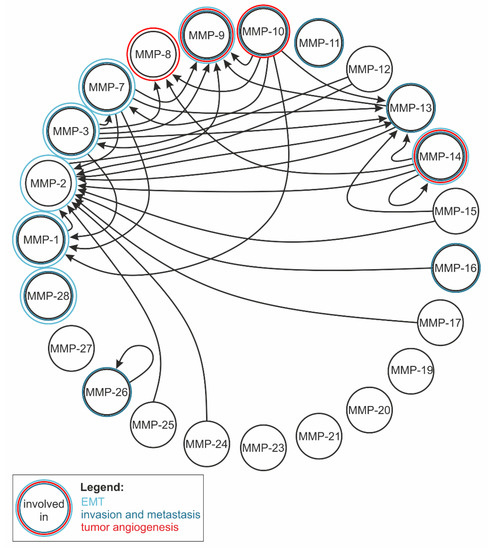 Matrix Metalloproteinases Shape the Tumor Microenvironment in Cancer ...