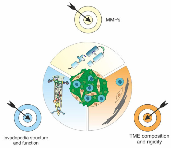 Matrix Metalloproteinases Shape the Tumor Microenvironment in Cancer ...