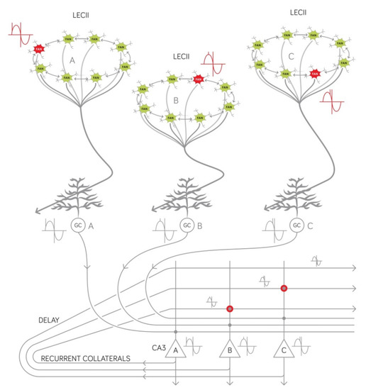 Relevance of a Novel Circuit-Level Model of Episodic Memories to ...