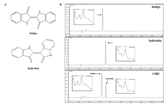 Indigo Pulverata Levis (Chung-Dae, Persicaria tinctoria) Alleviates ...