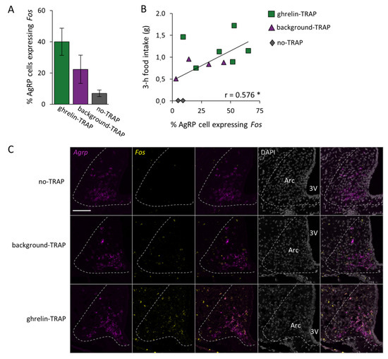 TRAPing Ghrelin-Activated Circuits: A Novel Tool to Identify, Target ...