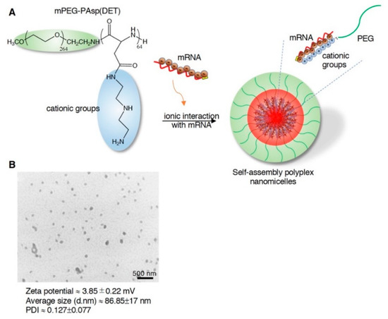 Runx1 Messenger RNA Delivered by Polyplex Nanomicelles Alleviate Spinal ...