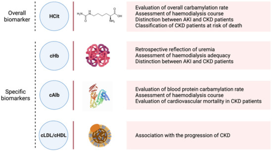 IJMS | January-1 2022 - Browse Articles