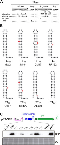 IJMS | January-1 2022 - Browse Articles