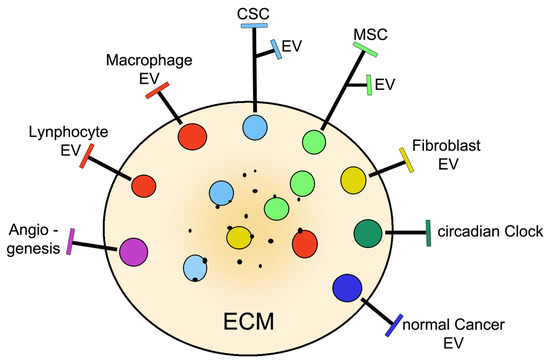 IJMS | Free Full-Text | Cancer Stem Cells and Their Vesicles, Together ...