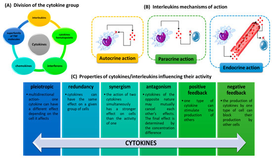 Biological Role, Mechanism of Action and the Importance of Interleukins ...
