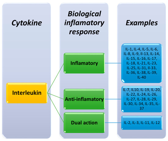 Biological Role, Mechanism of Action and the Importance of Interleukins ...