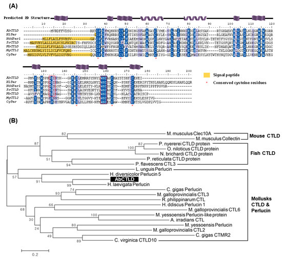 Characterization of a C-Type Lectin Domain-Containing Protein with Antibacterial Activity from ...