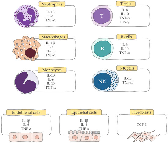 IJMS | Free Full-Text | Innate Immune System Response to Burn Damage ...