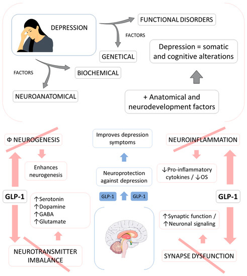 GLP-1a: Going beyond Traditional Use