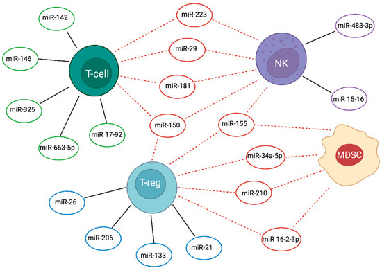 MicroRNAs as Modulators of the Immune Response in T-Cell Acute Lymphoblastic Leukemia