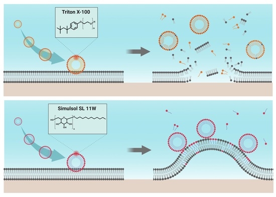 IJMS | Free Full-Text | Supported Lipid Bilayer Platform for ...