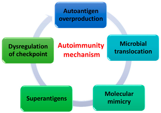 Armed to the Teeth—The Oral Mucosa Immunity System and Microbiota