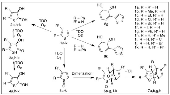 IJMS | Free Full-Text | Monooxygenase- and Dioxygenase-Catalyzed ...