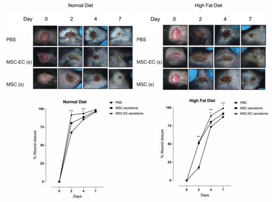 Secretome from Human Mesenchymal Stem Cells-Derived Endothelial Cells ...